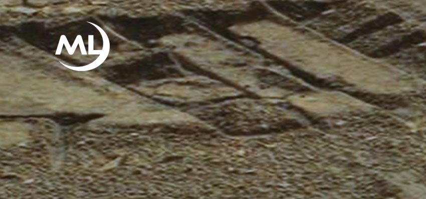 New Organisms on Mars - Mars Life New Reasearch in Martian Biology